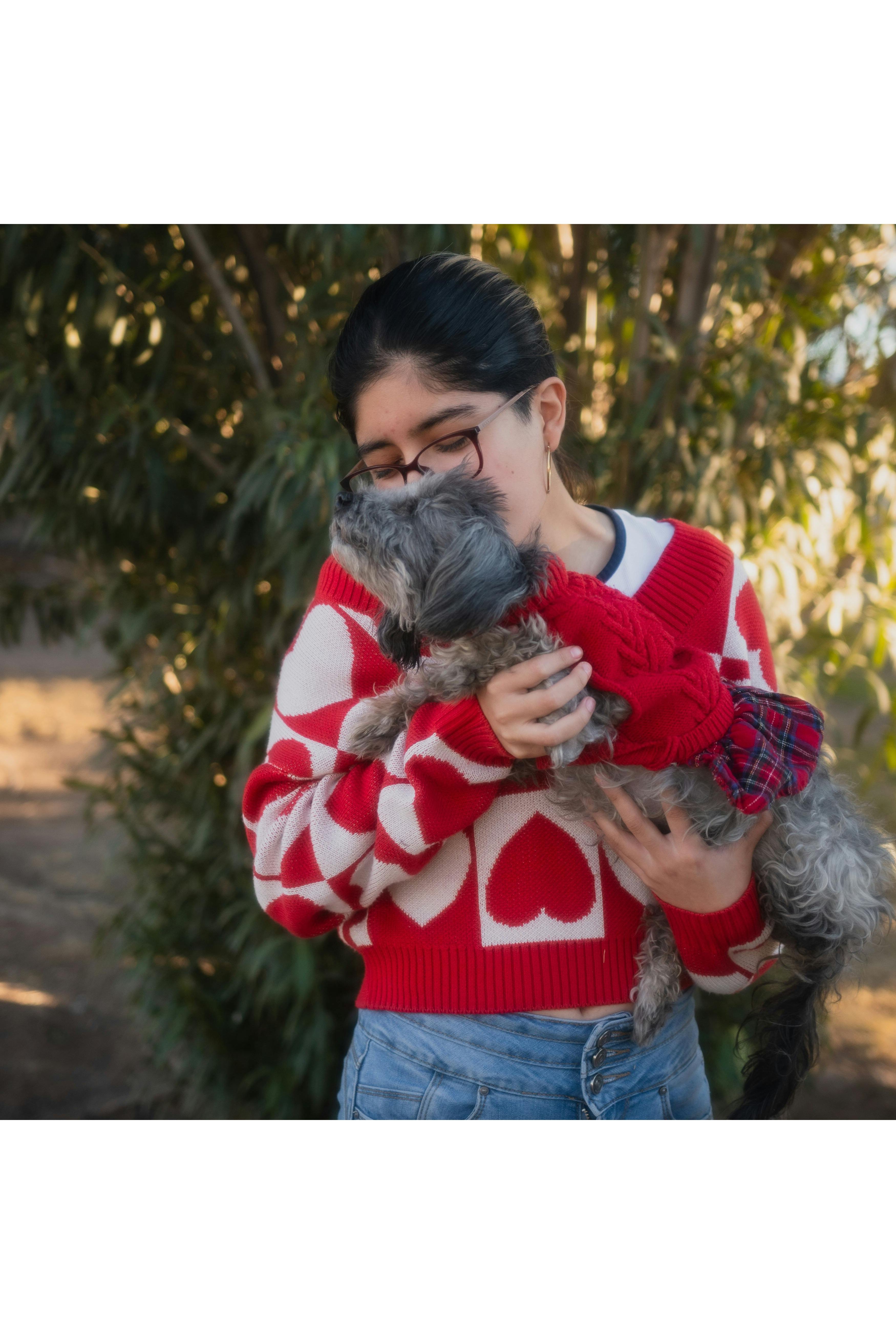 4 formas de cargar a tu perro correctamente | Patas en Casa